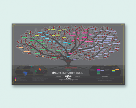 Coffee Family Tree – La Bodega